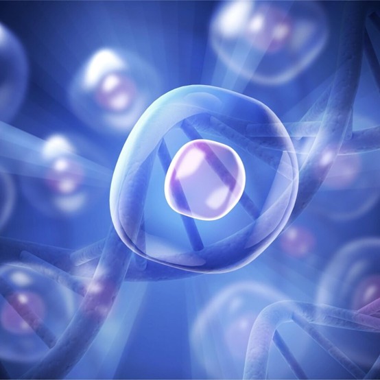 Hybrid fillers: Τhe Evolution and New Generation of Hybrid Materials in ...